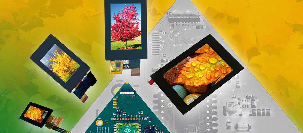 Development tool for small IPS displays - Electronica azi International