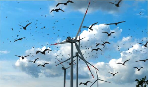 AI Monitoring for Wind Turbines: Securing Clean Energy with Cervoz ...